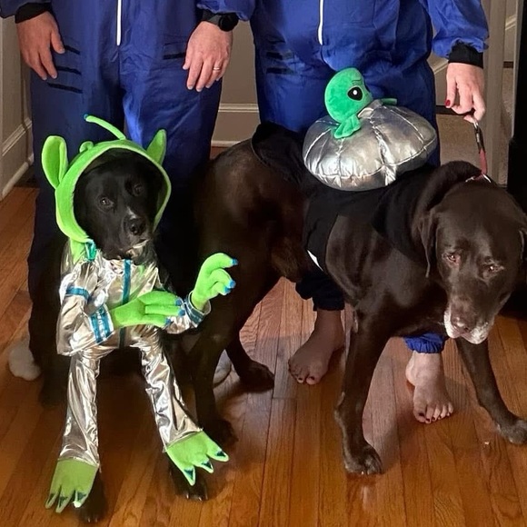 Dog | Halloween Alien Dog Outfits | Poshmark